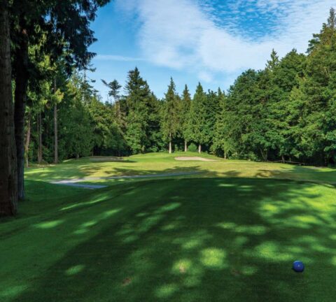 The Course - Morningstar Golf Club