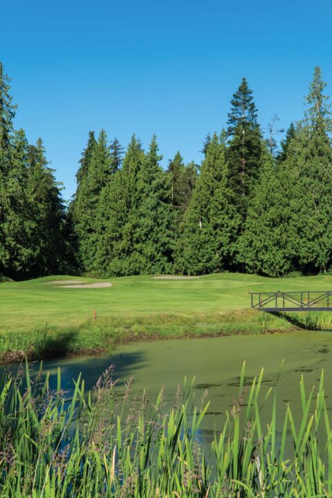 Morningstar Golf Club - Beautiful Golf for All Levels