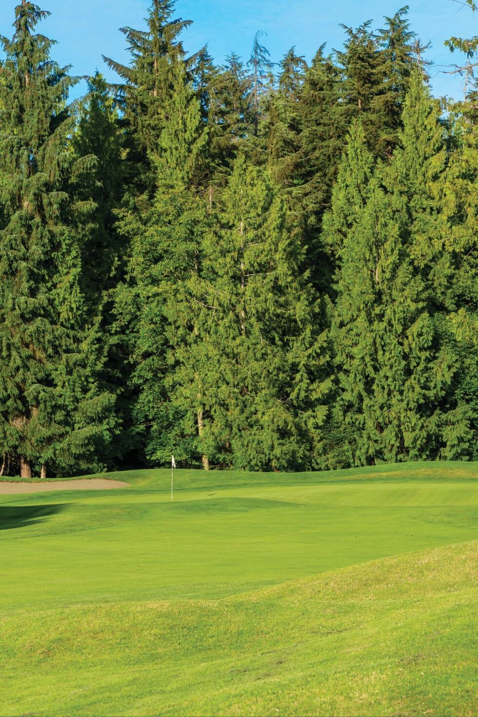 Morningstar Golf Club - Beautiful Golf for All Levels